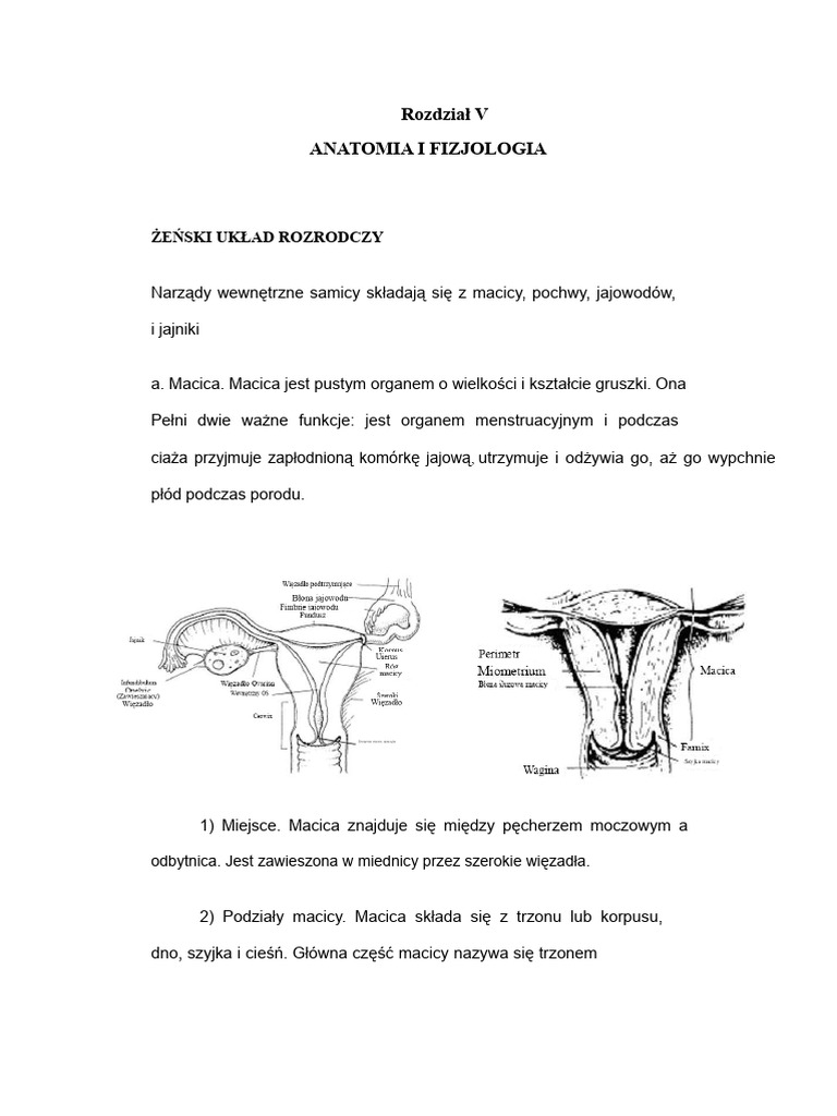 Cysta Jajnika CP Rozdział 5 | PDF