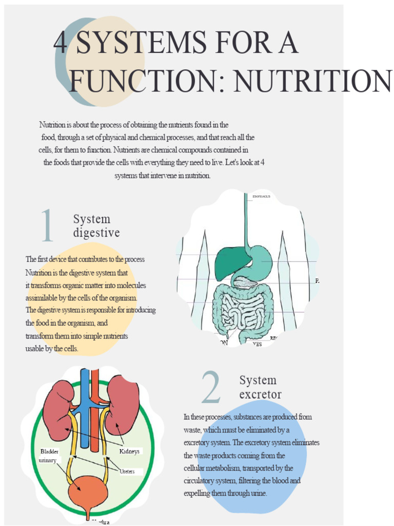 4.four Systems For A Function - Nutrition | PDF