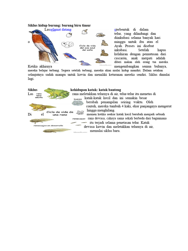 Siklus Hidup Burung | PDF