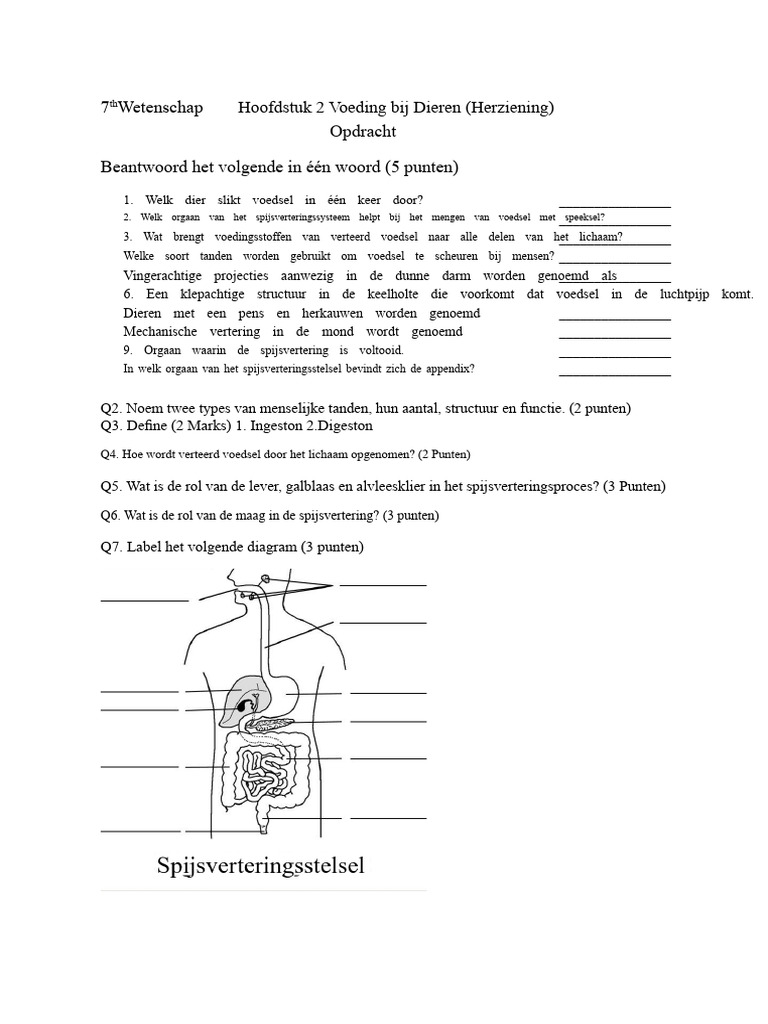 Klas 7 Hoofdstuk 2 Voeding Bij Dieren Opdracht | PDF