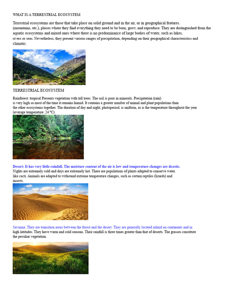What Is A Terrestrial Ecosystem? | PDF | Aquatic Ecosystem | Rain