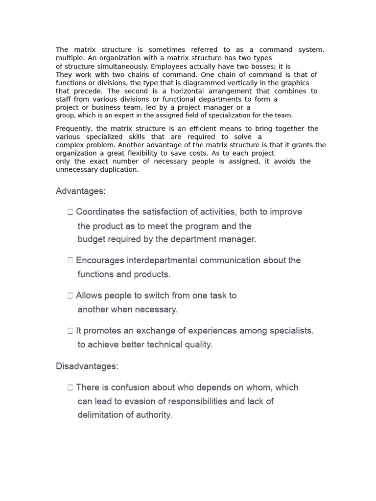 Understanding Matrix Organizational Structure | PDF | Matrix ...