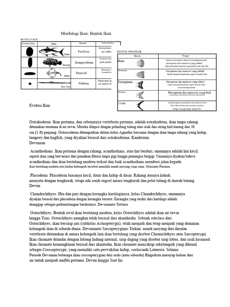 Evolusi Ikan: Dari Ostrakoderm ke Osteichthyes | PDF