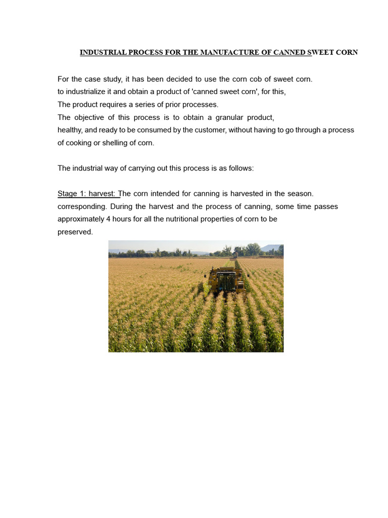 Canned Sweet Corn Manufacturing Process | PDF | Maize