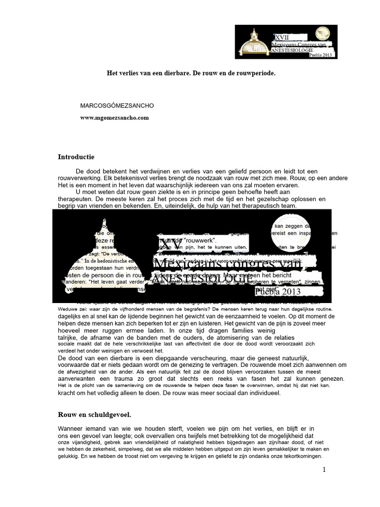 Het Verlies Van Een Dierbare. de Rouw en de Mourning | PDF