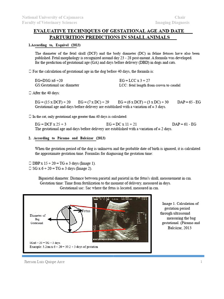 Evaluative Techniques of Gestational Age and Expected Date of Delivery ...