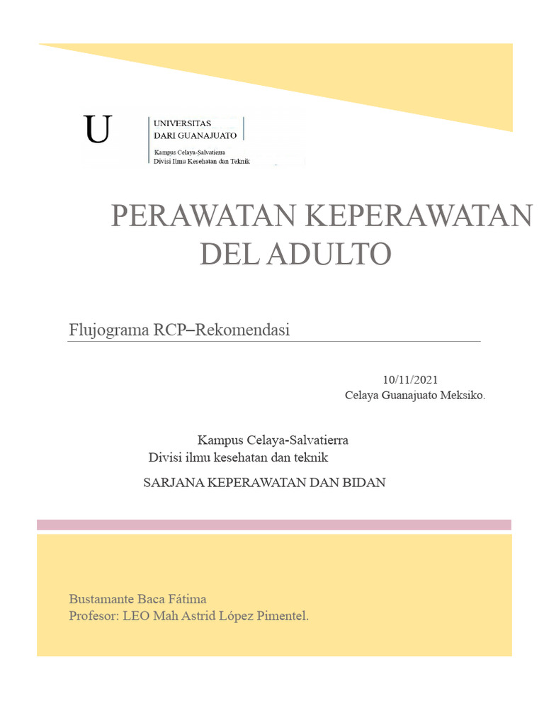 Diagram Alur - Resusitasi Jantung Paru | PDF