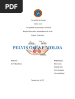 Tipos de Pelve e Suas Características | PDF