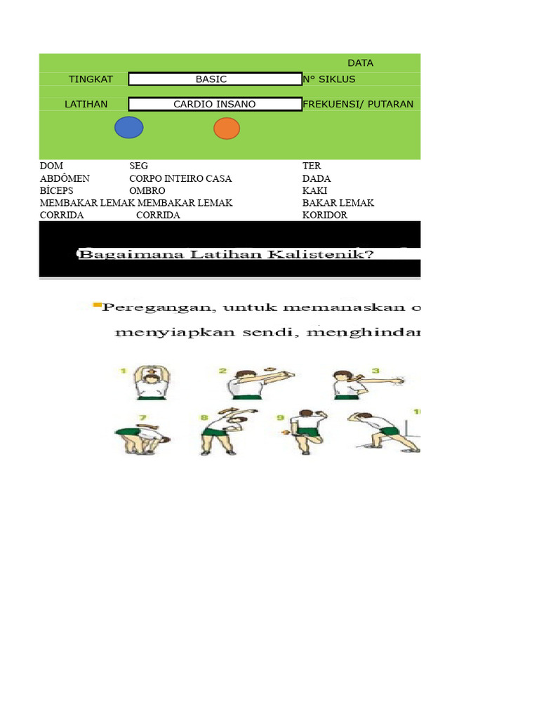 Spreadsheet Latihan Kalistenik | PDF