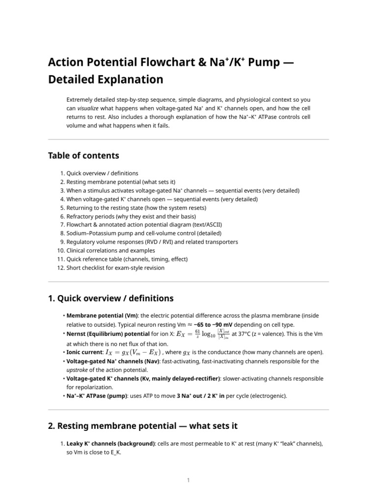 Action Potential Flowchart Explained | PDF | Action Potential ...