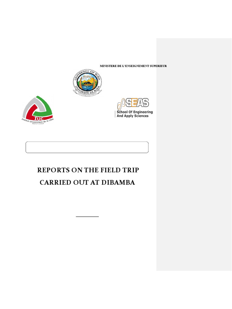 Dibamba River Field Trip Report | PDF | River | Foundation (Engineering)