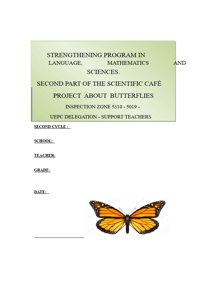 BUTTERFLIES PROJECT 6th Grade | PDF | Information | Books