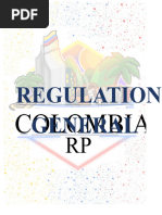 ERLC Custom Livery Guidelines | PDF