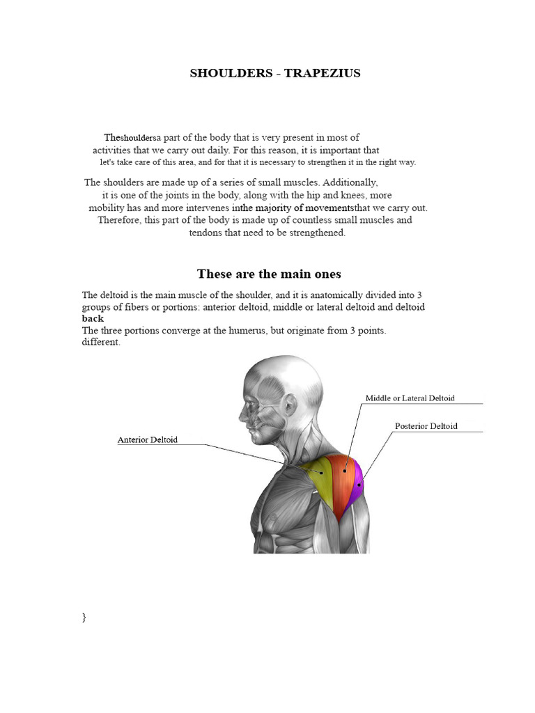Shoulders and Trapezius Routine | PDF | Shoulder | Arm