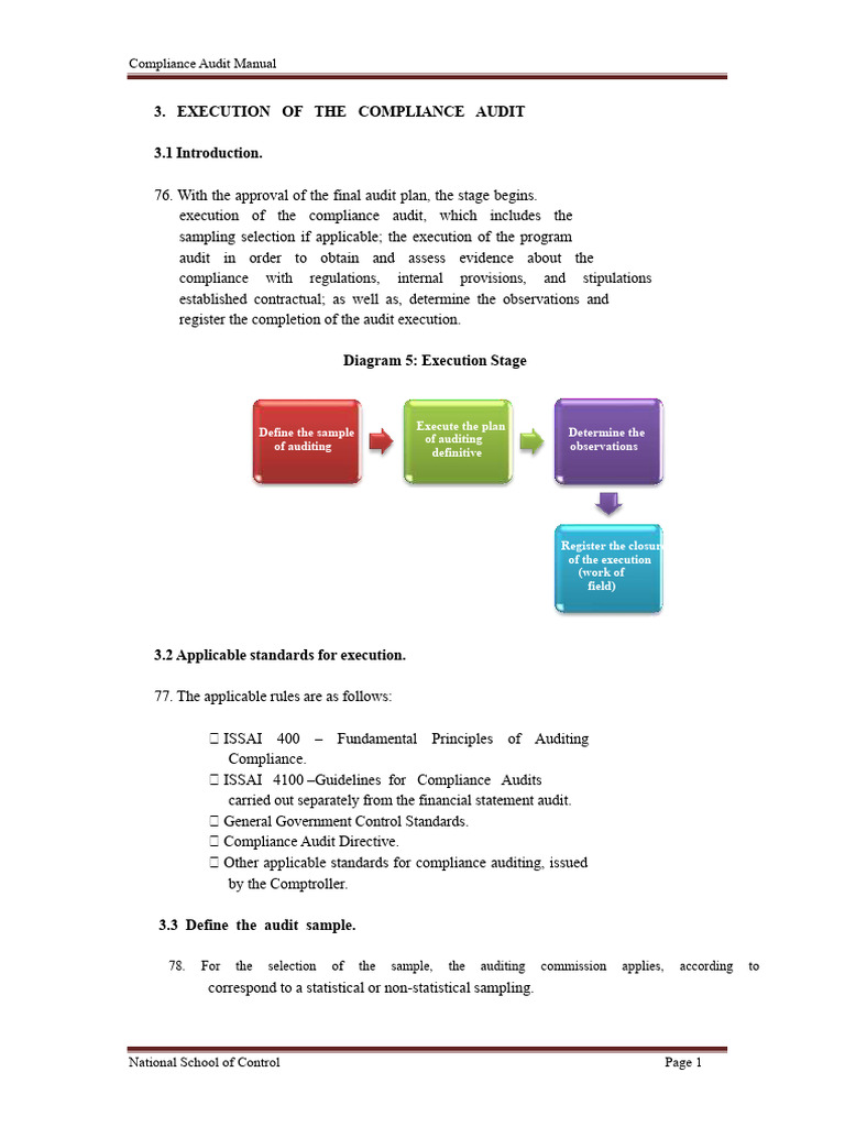 Compliance Audit Execution Guide | PDF | Audit | Sampling (Statistics)