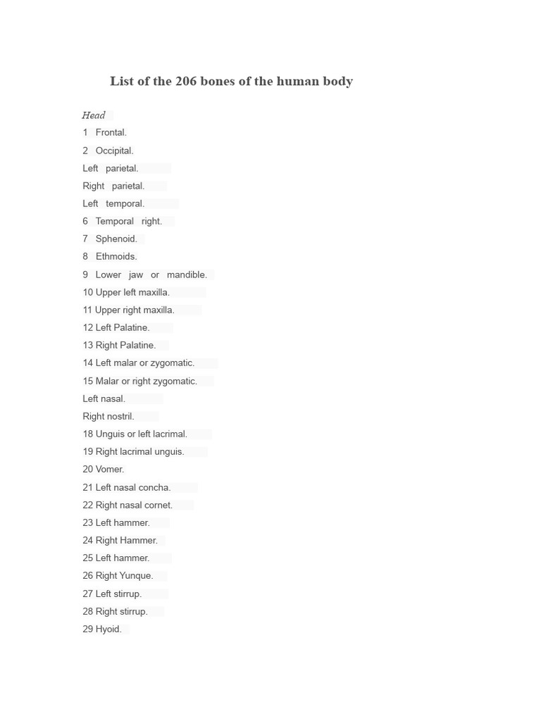 206 Bones of The Adult Human. | PDF | Vertebra | Human Anatomy