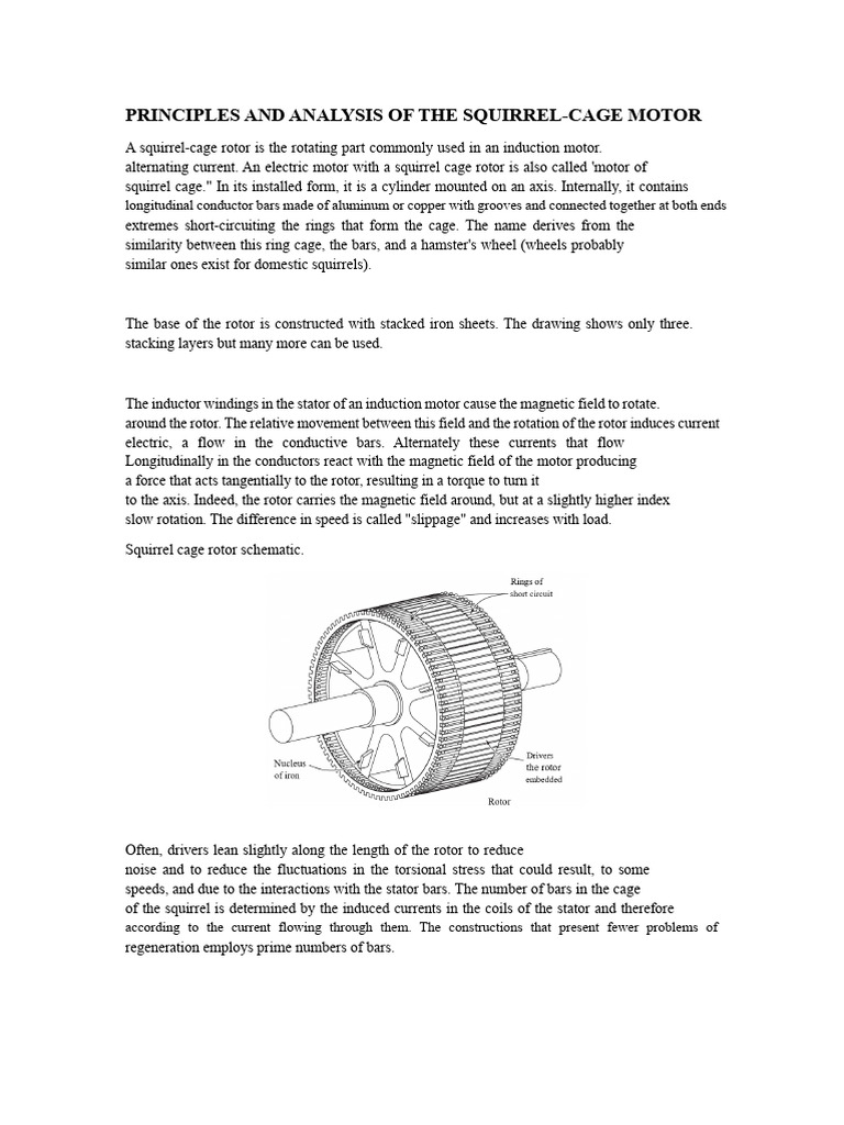 Principles and Analysis of The Squirrel Cage Motor | PDF | Electric ...