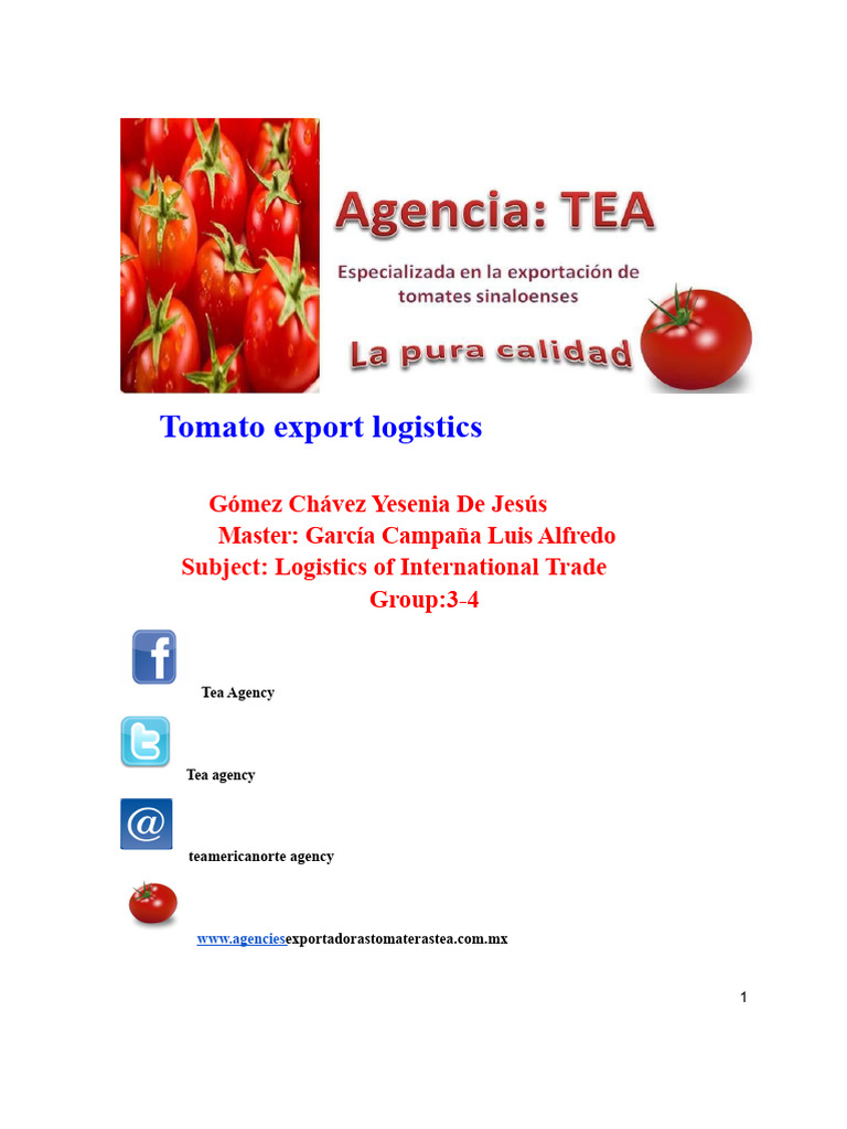 Tomato Export Logistics in Mexico | PDF | Supply Chain | Agriculture