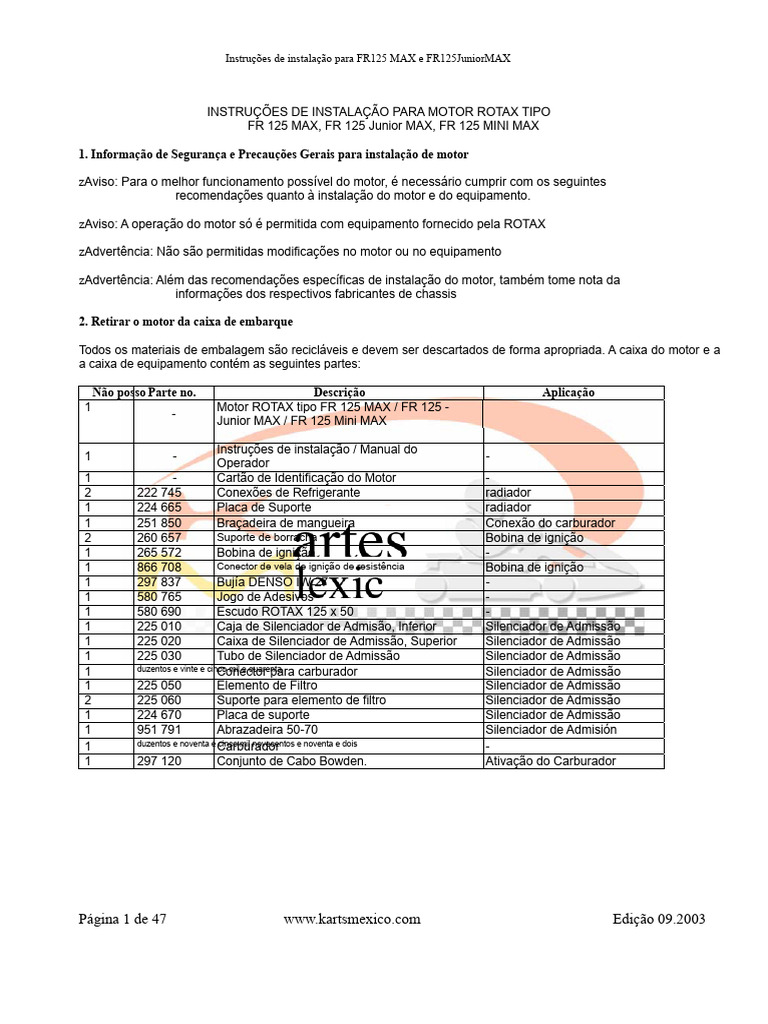 Instalação do Motor ROTAX FR125 MAX | PDF | Motores | Bomba