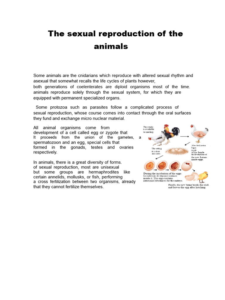 Animal Sexual Reproduction Explained | PDF | Sexual Reproduction ...