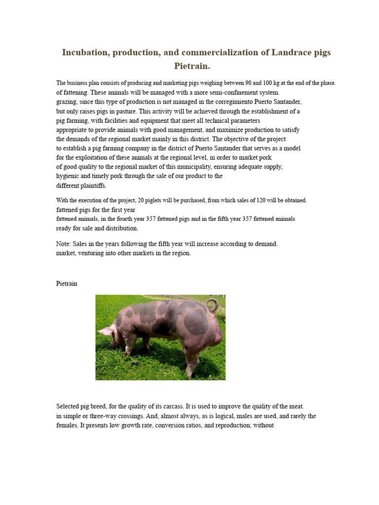 Incubation, Production and Marketing of Pietrain and Landrace Pigs ...