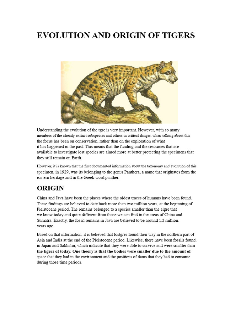 Evolution and Origins of Tigers | PDF | Tiger | Felidae