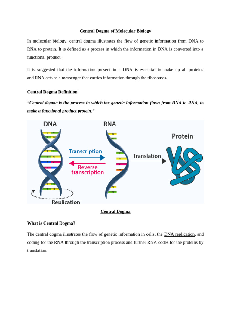 Understanding Central Dogma in Biology | PDF | Genetic Code ...