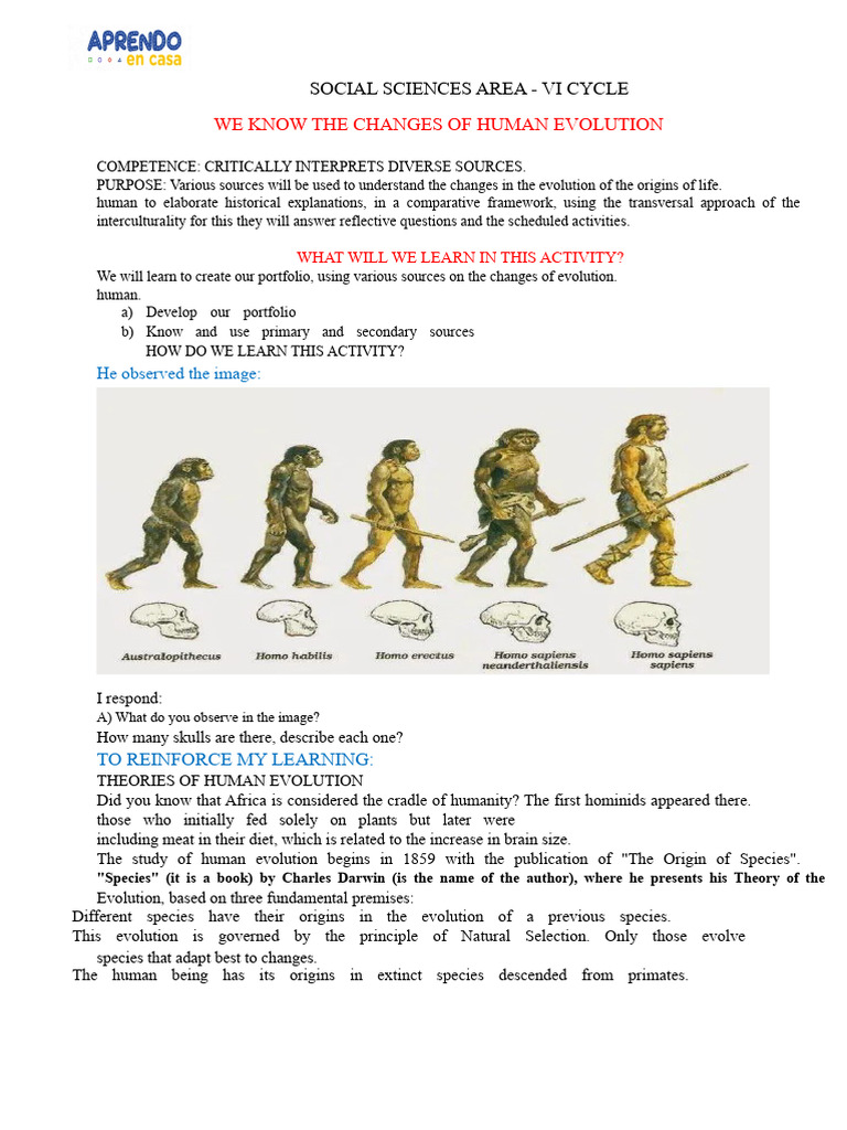 Resources-2nd Grade-Vi Cycle-Social Studies-Week 01 | PDF | Homo ...