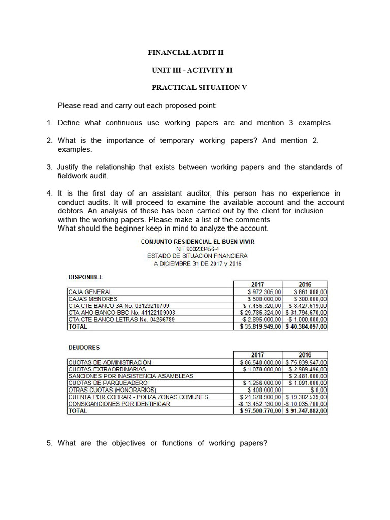 Understanding Audit Working Papers | PDF