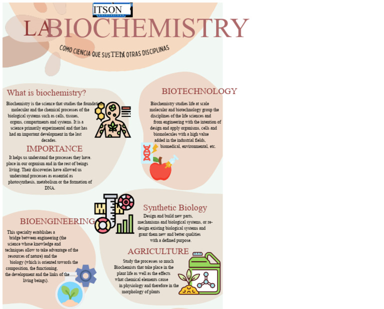 Infographic 1 Biochemistry | PDF | Biochemistry | Chemistry
