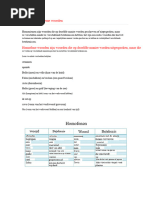 Voorbeelden Van Homonieme Woorden | PDF