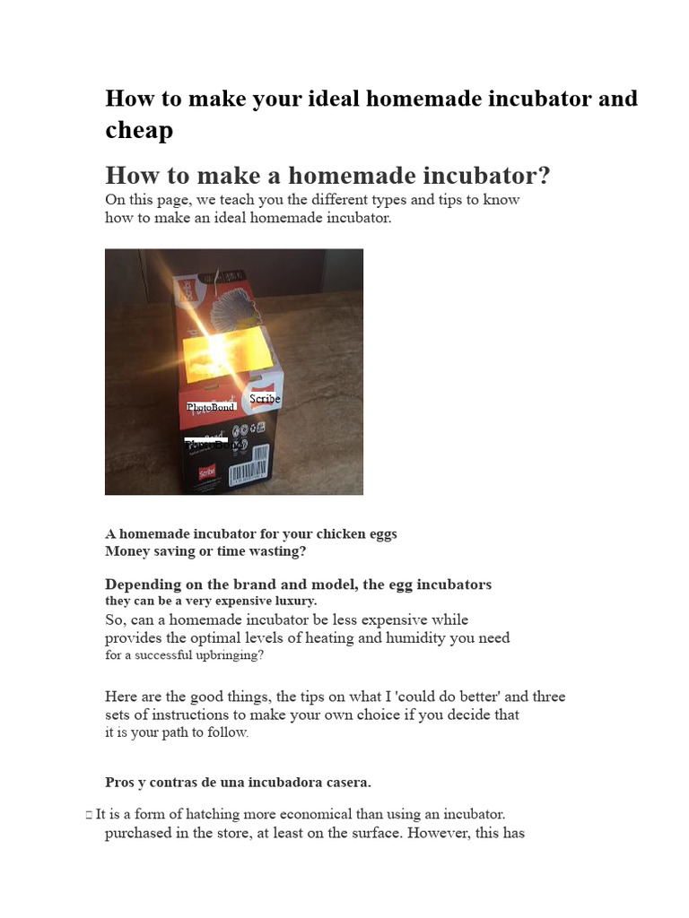 Homemade Incubator: Bulb Wattage Guide | PDF | Humidity