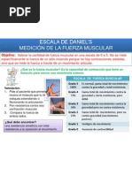 Escala de Daniels PDF | PDF