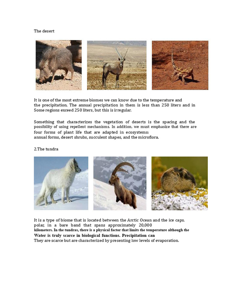 Types of Biomes and Their Animals | PDF | Desert | Precipitation