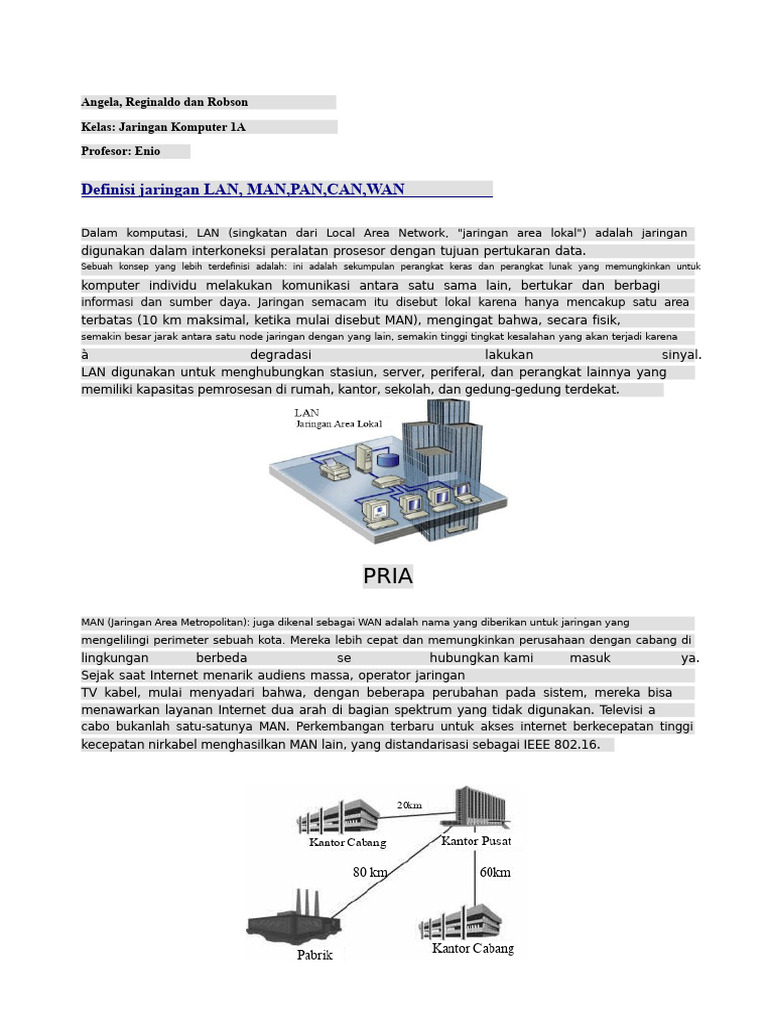 Definisi Jaringan LAN, MAN, PAN, CAN, WAN PDF | PDF