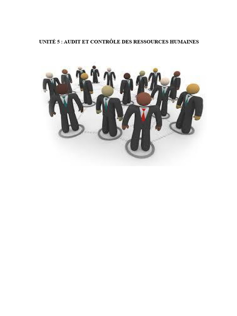 Unité 5 Audit Et Contrôle Des Ressources Humaines | PDF | Gestion des ressources humaines | Audit