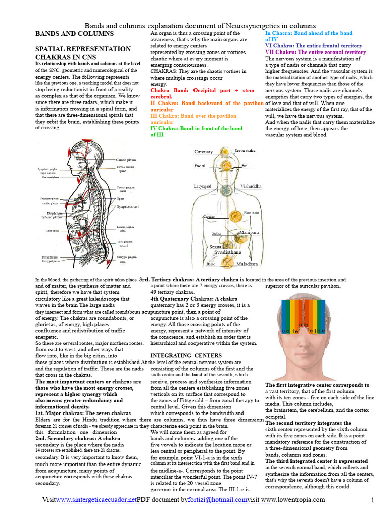 Bands and Columns Explanation of The Neurosynergetics Document in ...
