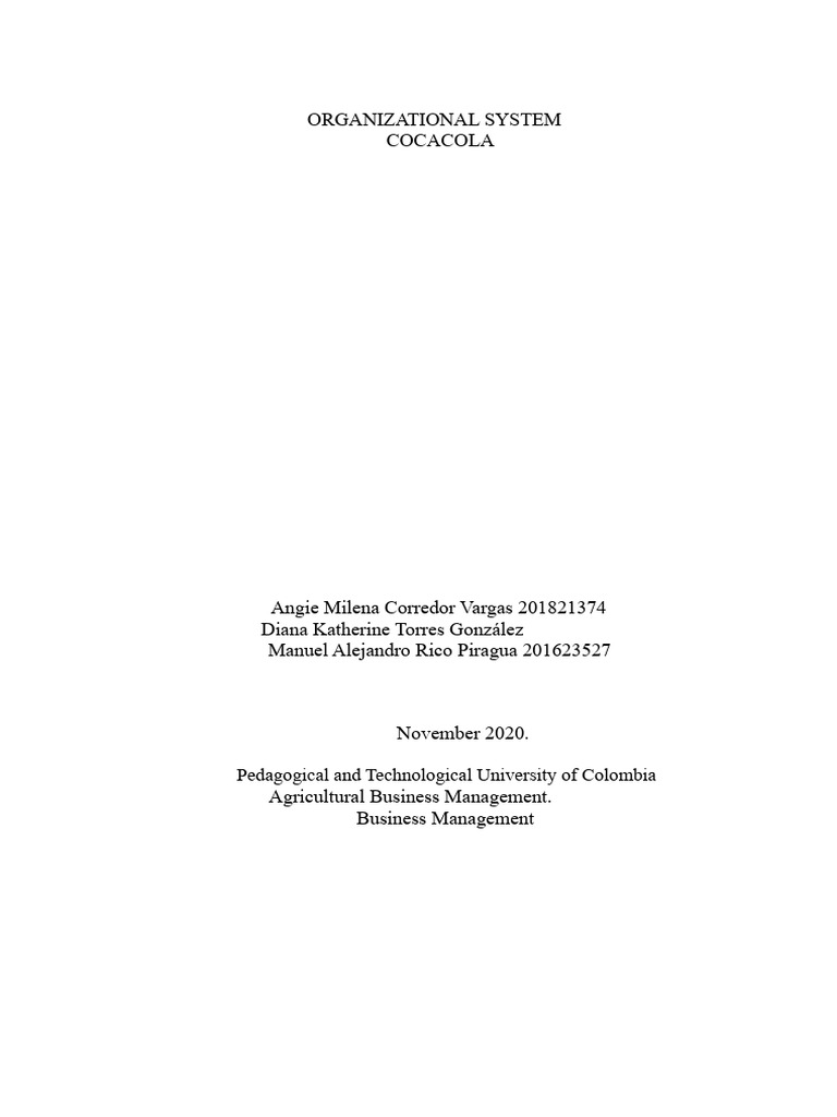 Organizational System - Coca-Cola | PDF | Internal Control | Coca Cola
