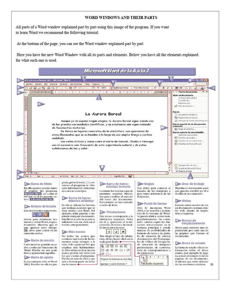 Understanding Word Window Components | PDF | Button (Computing ...