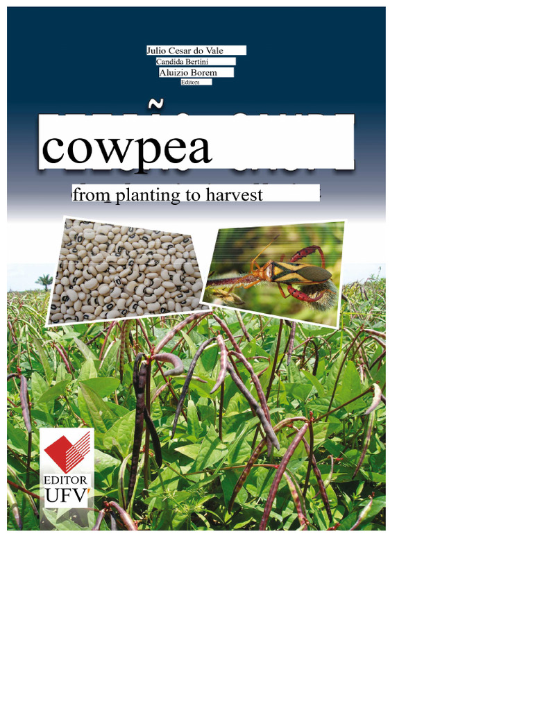 Cowpea Cultivation and Socioeconomic Impact | PDF | Soil | Plant Nutrition