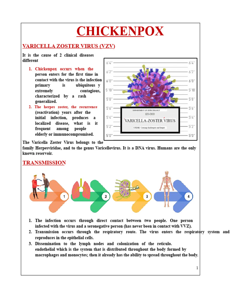 Chickenpox | PDF | Medical Specialties | Diseases And Disorders
