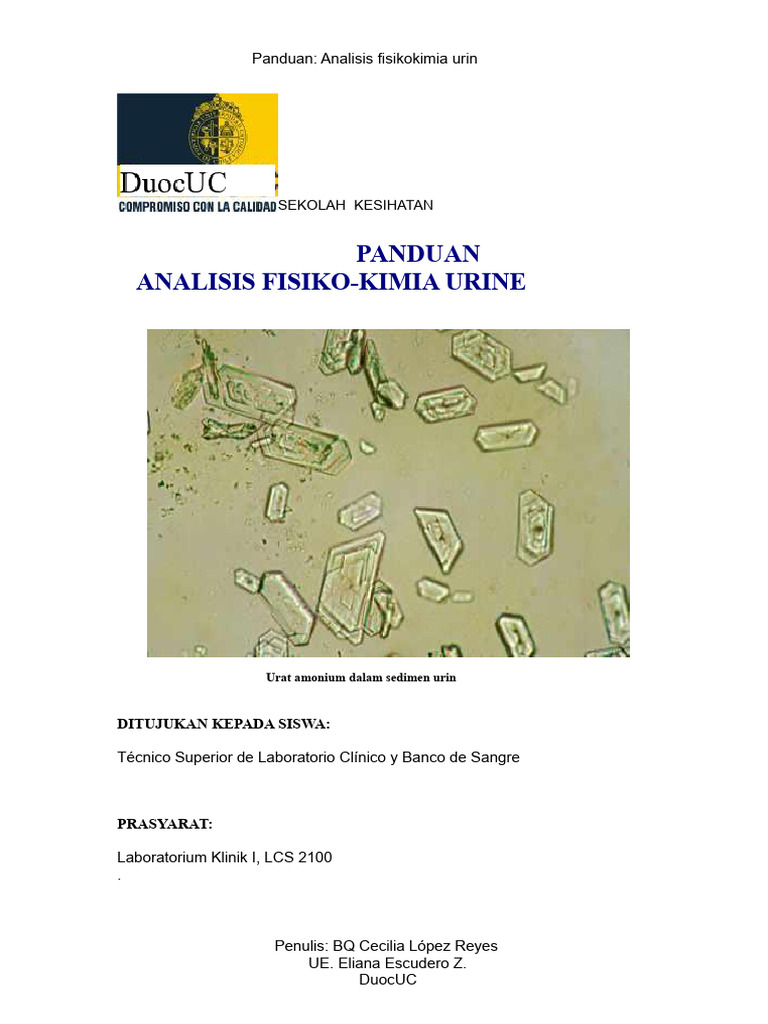 Atlas Urin | PDF