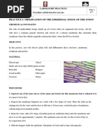 Observing Onion Cells Under Microscope | PDF