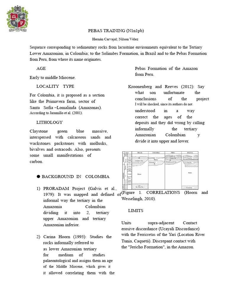 Pebas Training Summary | PDF | Amazon Rainforest | Geological Formation