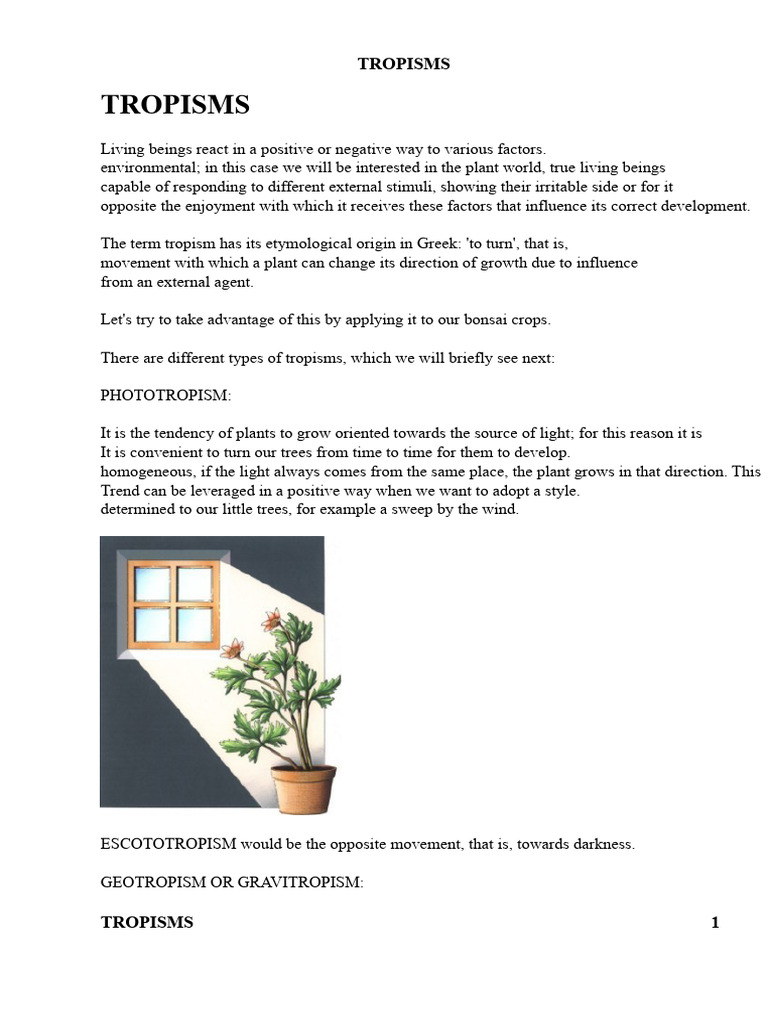 Understanding Plant Tropisms and Nasties | PDF | Plants | Branches Of ...