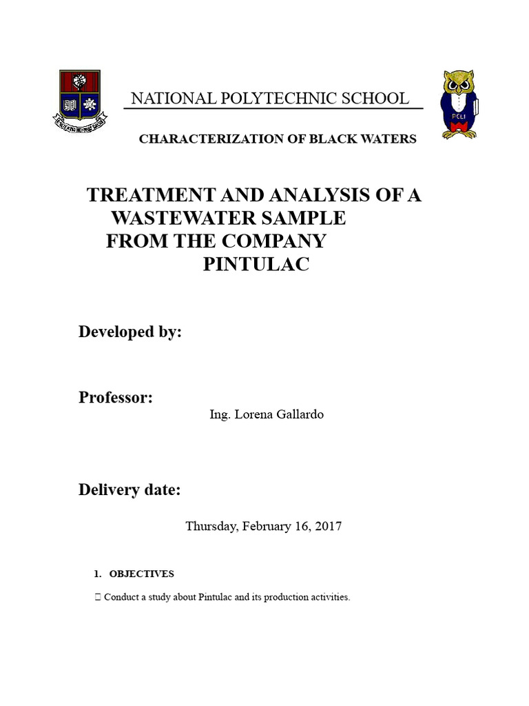 Wastewater Treatment Analysis at Pintulac | PDF | Paint | Sewage Treatment