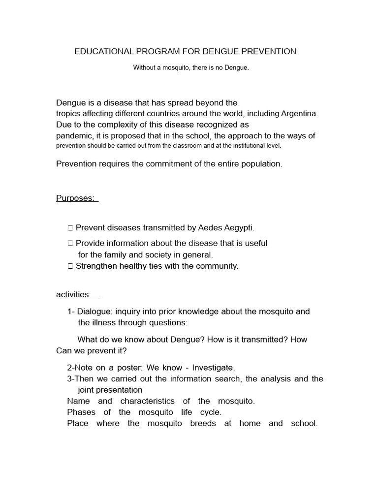 Dengue Activities | PDF