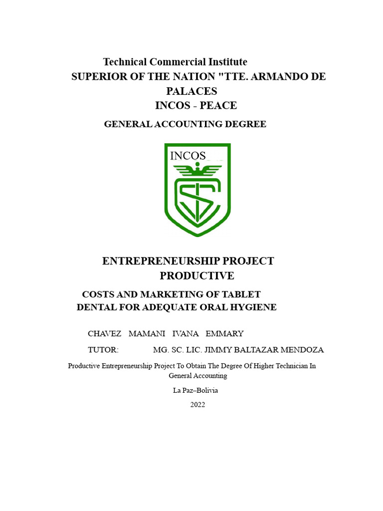 Productive Entrepreneurship Project | PDF