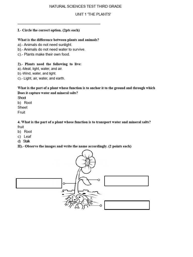 Natural Sciences Control The Plants | PDF