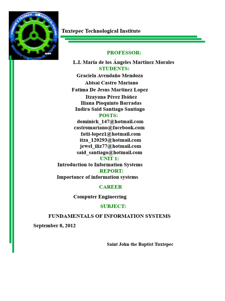 Fundamentals of Information Systems Report | PDF | System | Information